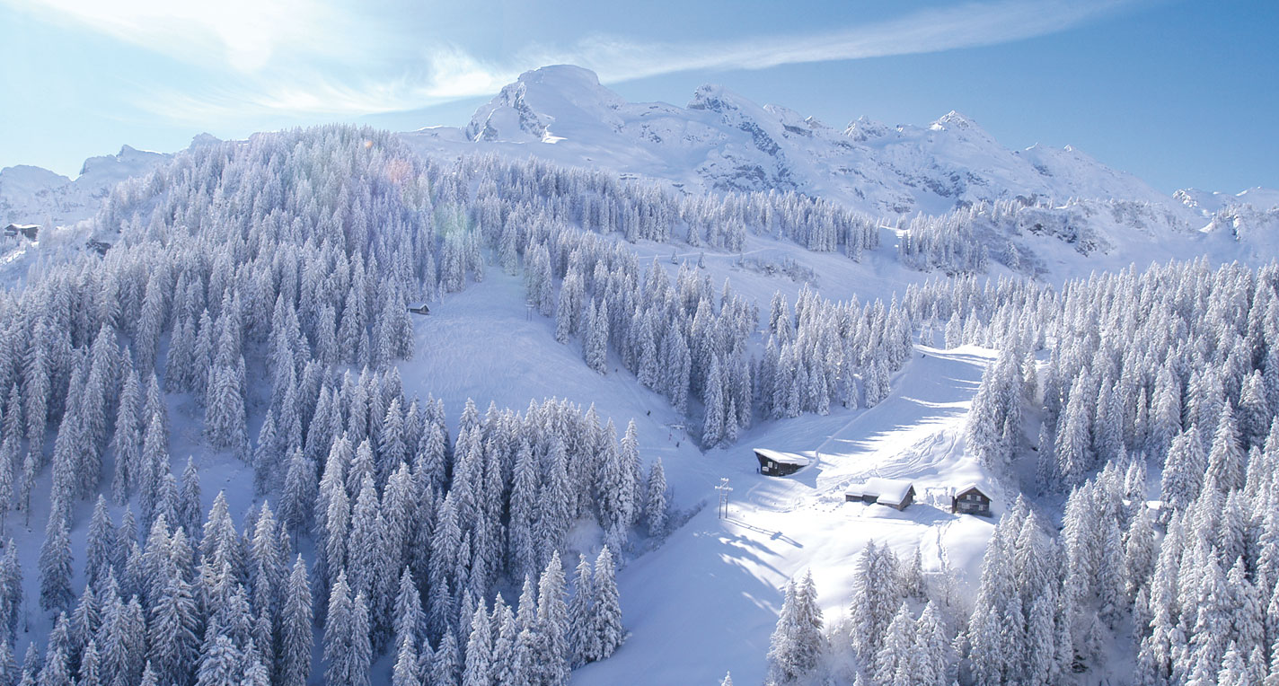 Gemeinde Attinghausen